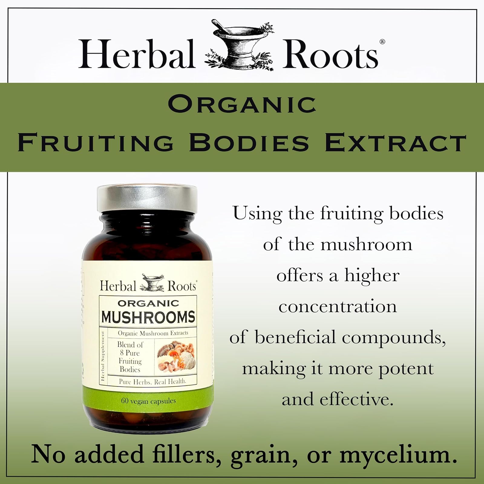 reishi mushroom supplement for relaxation