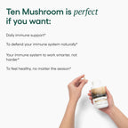 reishi mushroom supplement for stress relief