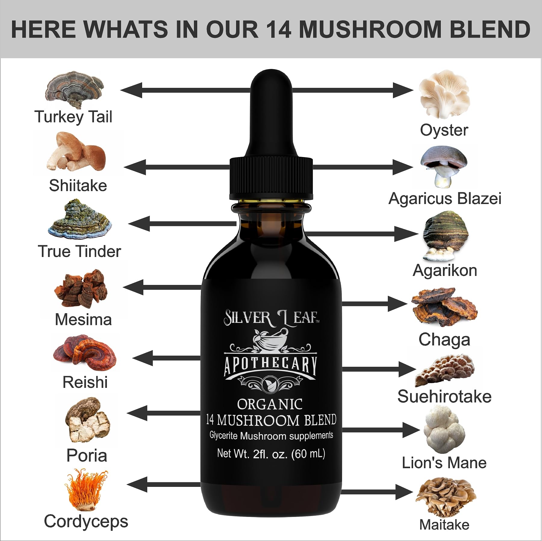 Reishi mushroom tincture benefits
