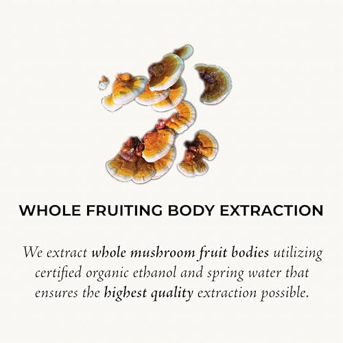 reishi mushroom tincture for better sleep