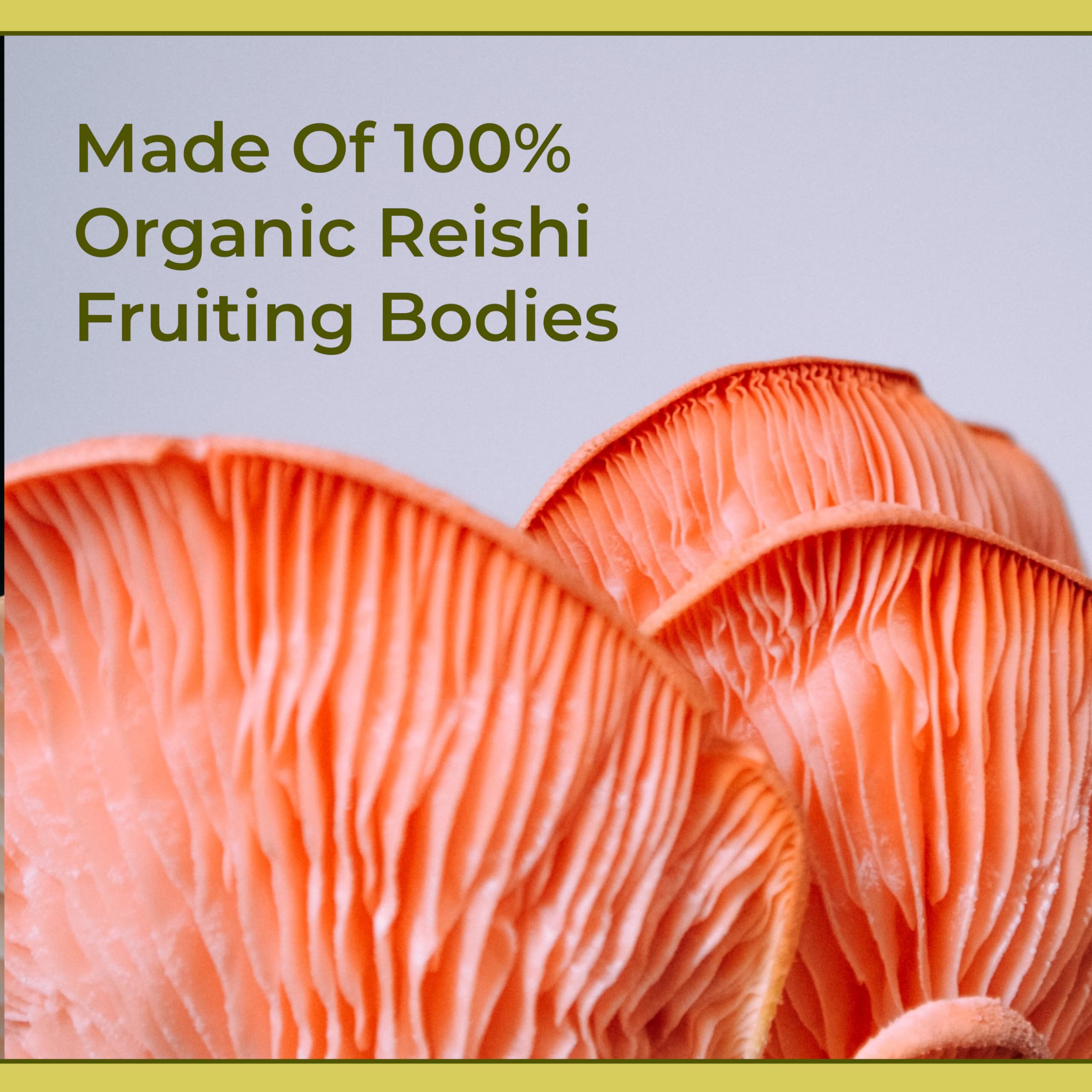 reishi mushroom tincture for overall health