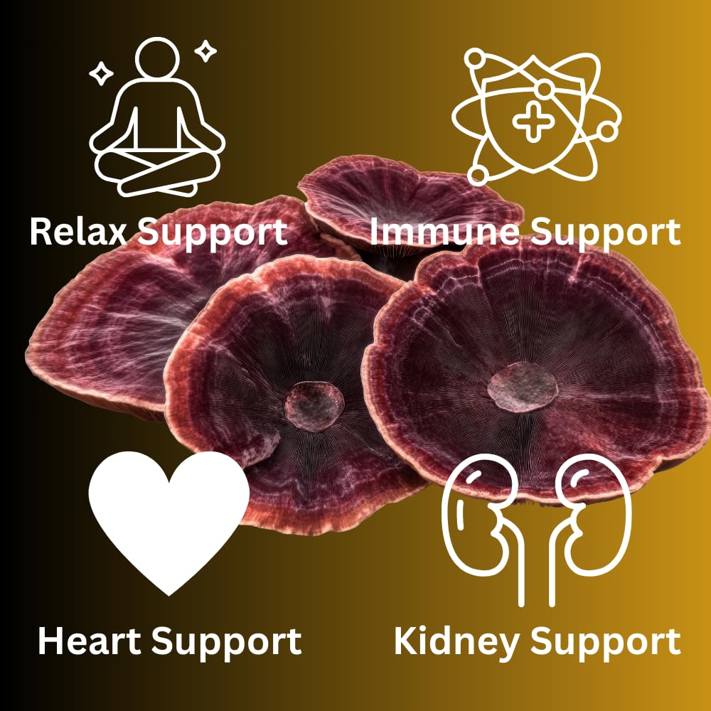 reishi mushroom tincture for relaxation