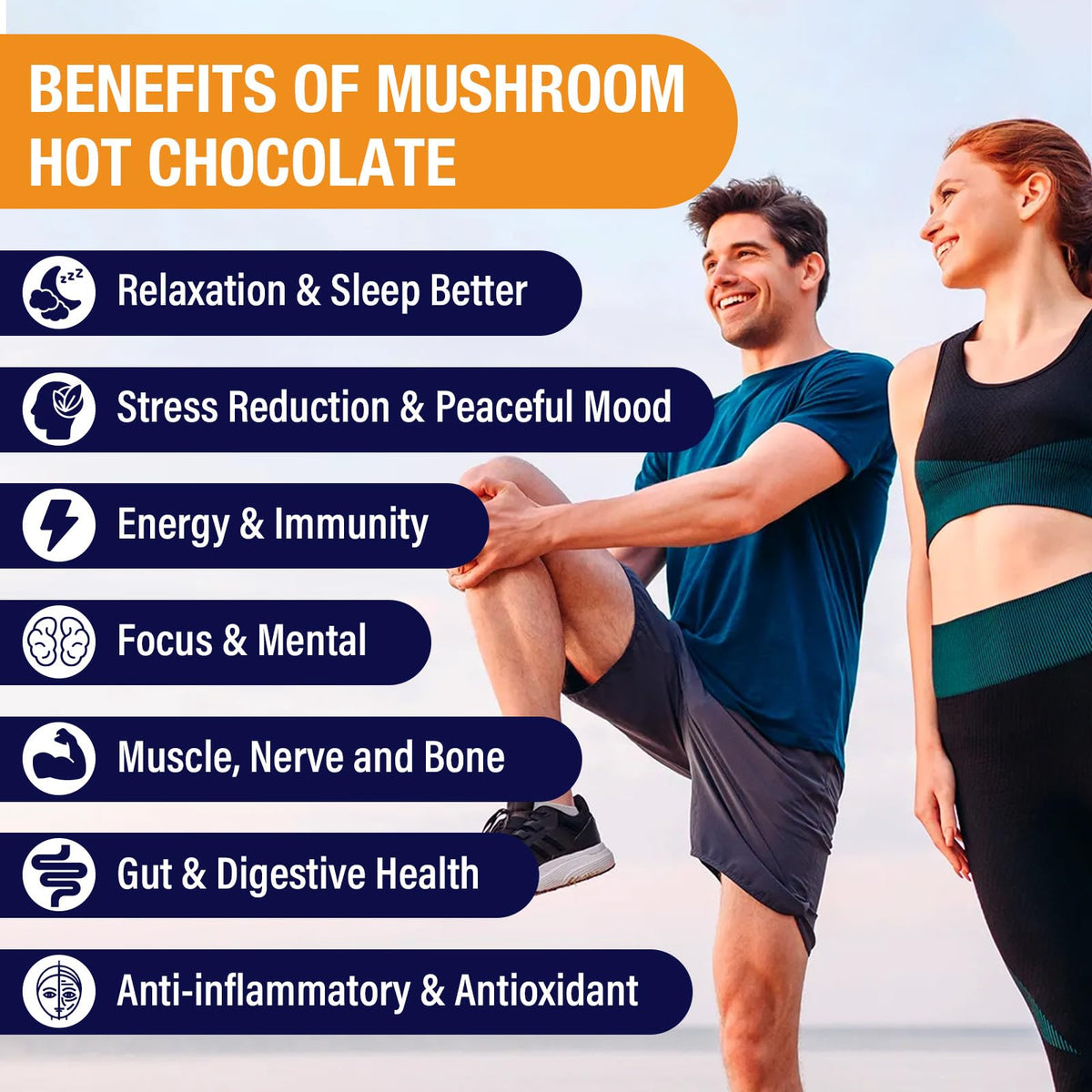 reishi mushroom wellness beverage