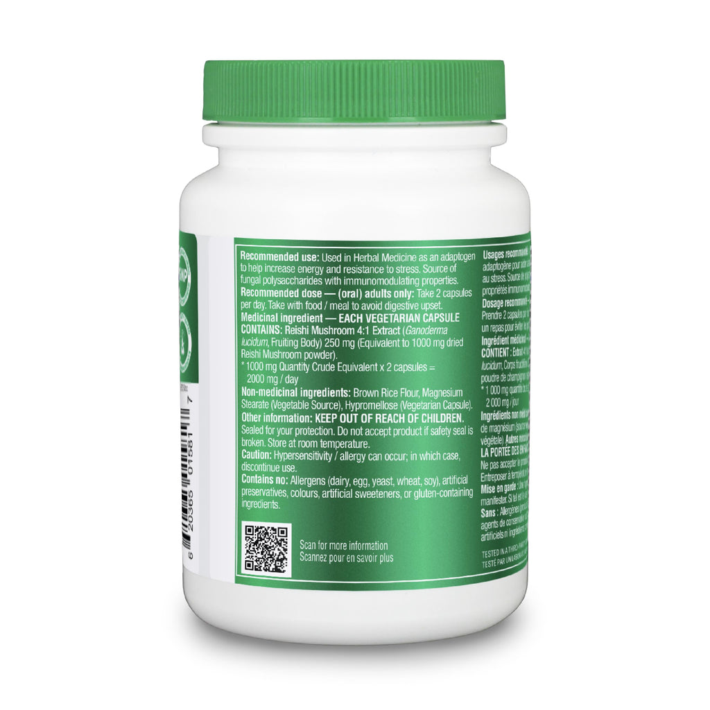 Reishi mushrooms for cognitive support
