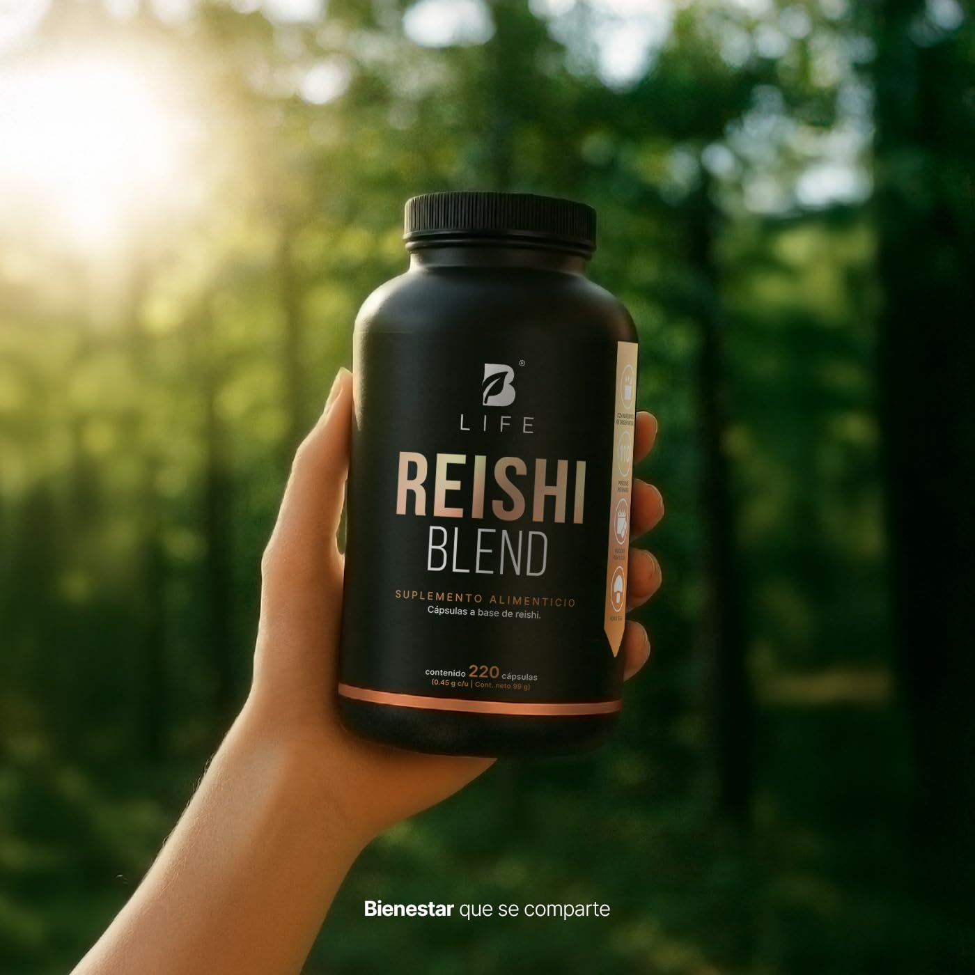 reishi mushrooms for cognitive support
