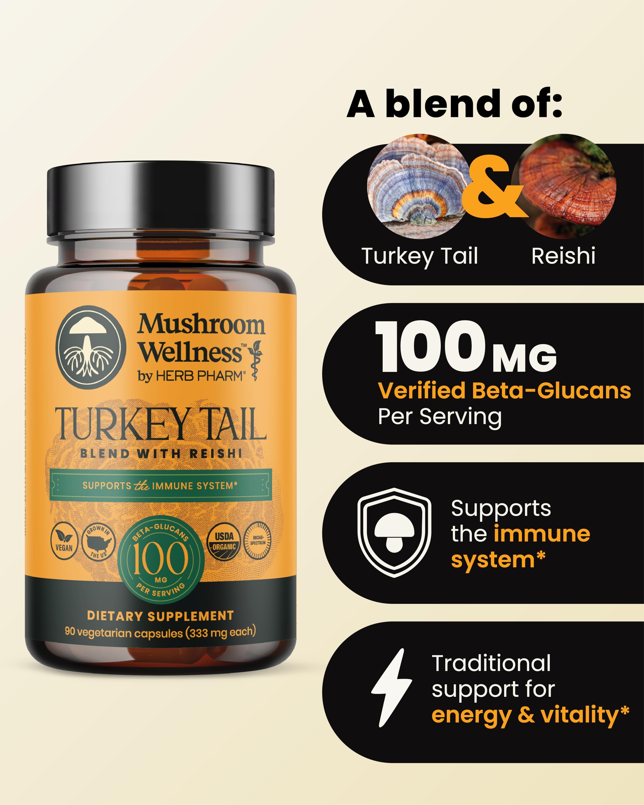 reishi mushrooms for energy boost