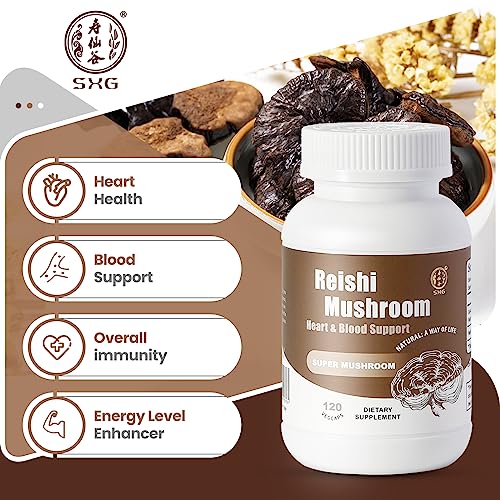 reishi mushrooms for enhanced energy