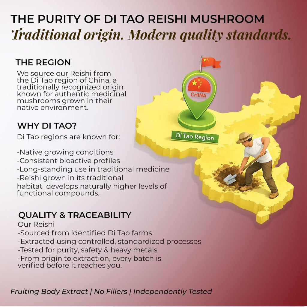 reishi mushrooms for holistic health