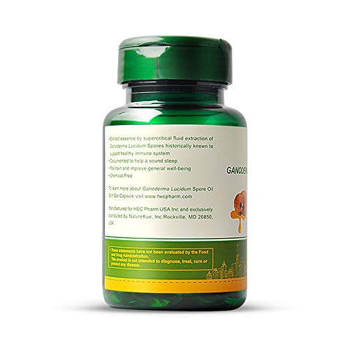 reishi mushrooms for holistic health