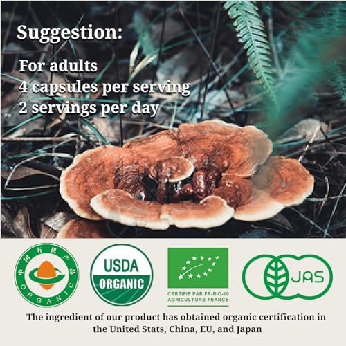 reishi mushrooms for holistic health