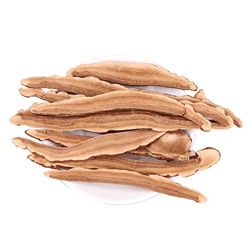 reishi mushrooms for immune health