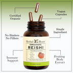 reishi mushrooms for immune support