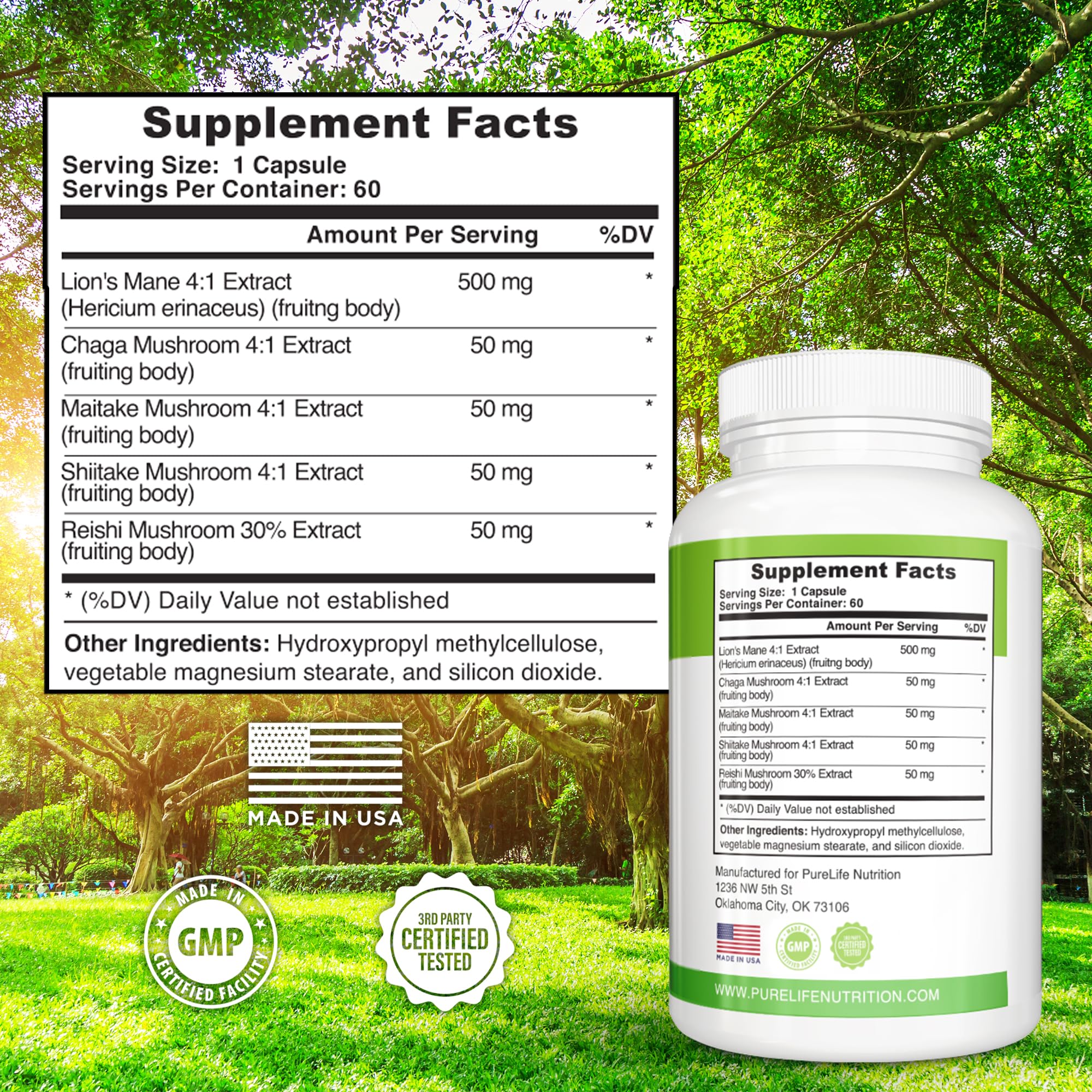 reishi mushrooms for immune support