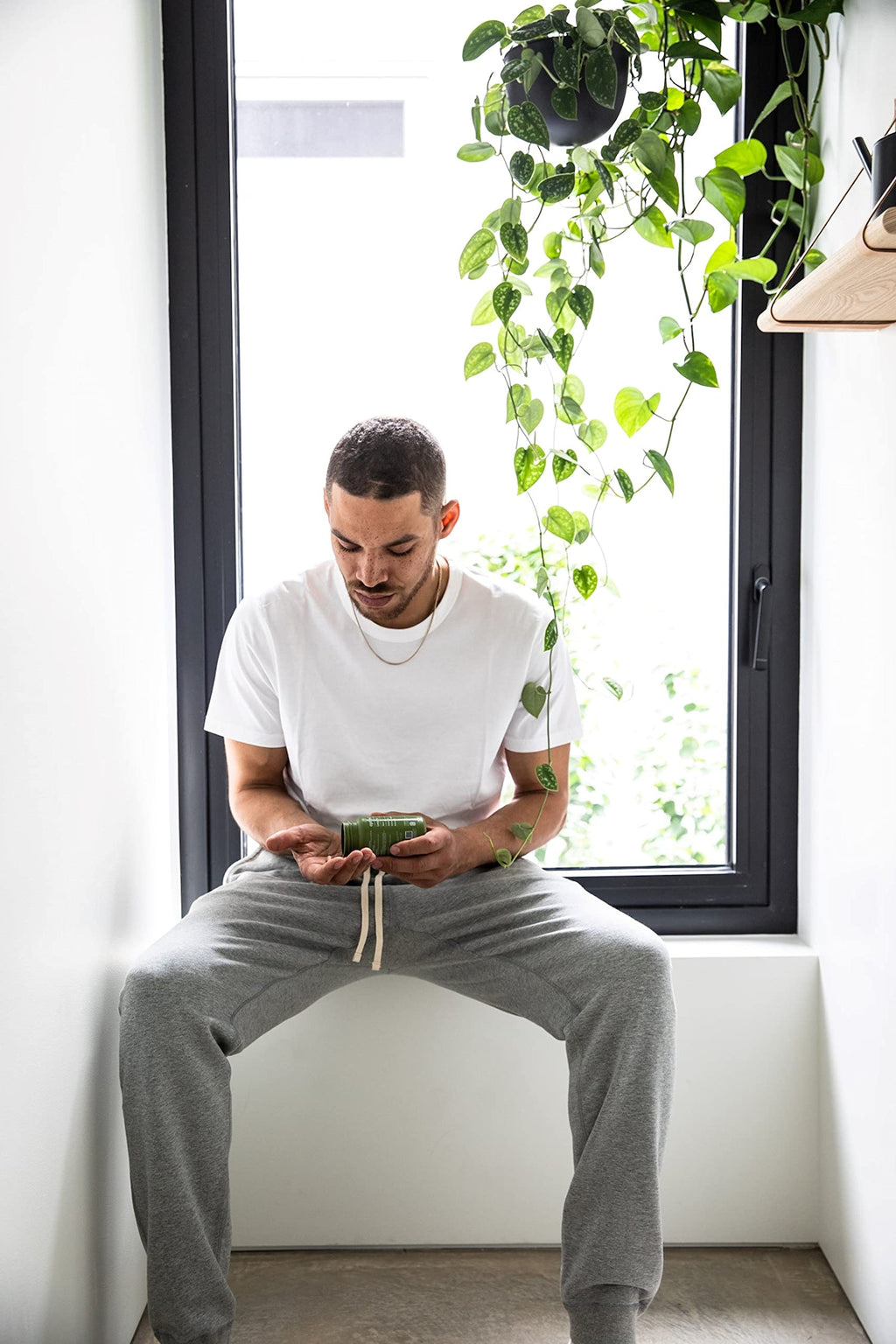 reishi mushrooms for overall wellness