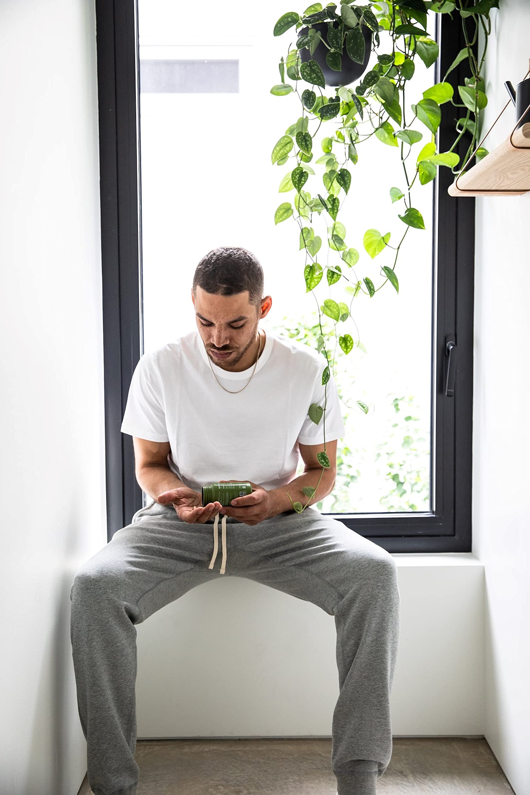 reishi mushrooms for overall wellness