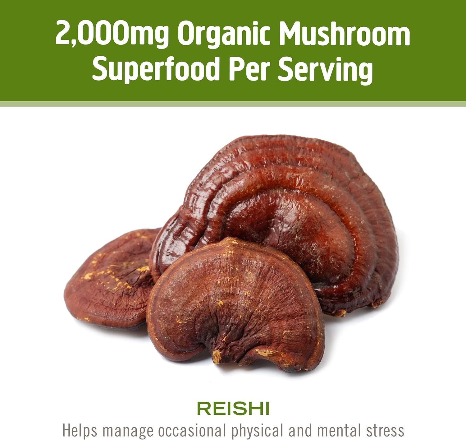 reishi mushrooms for overall wellness