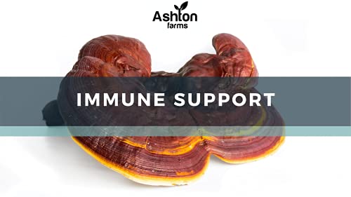Reishi mushrooms for overall wellness