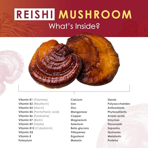 reishi mushrooms for relaxation and calm