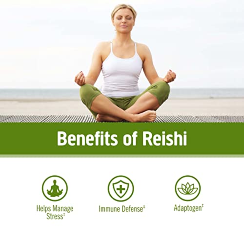 reishi mushrooms for relaxation and calm