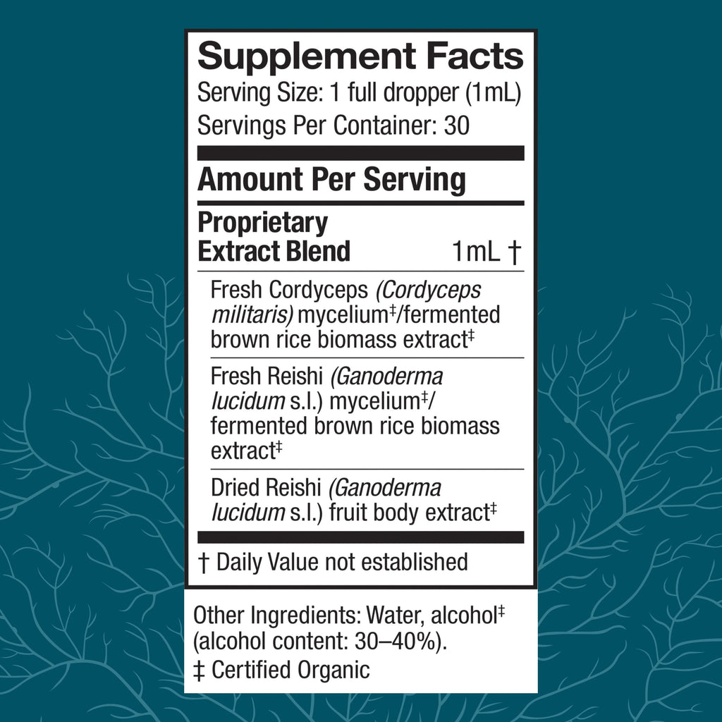 Reishi mushrooms for relaxation benefits