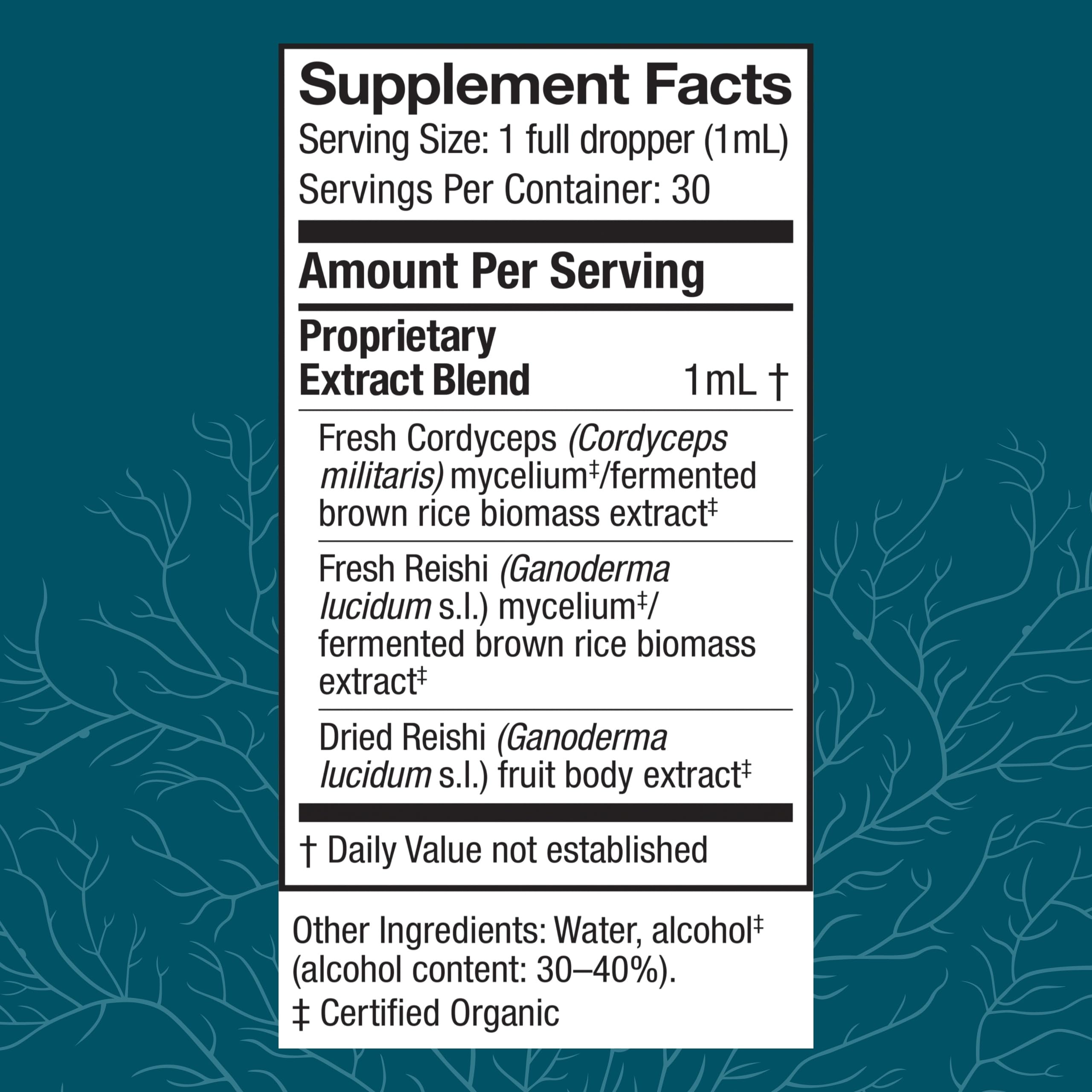 Reishi mushrooms for relaxation benefits