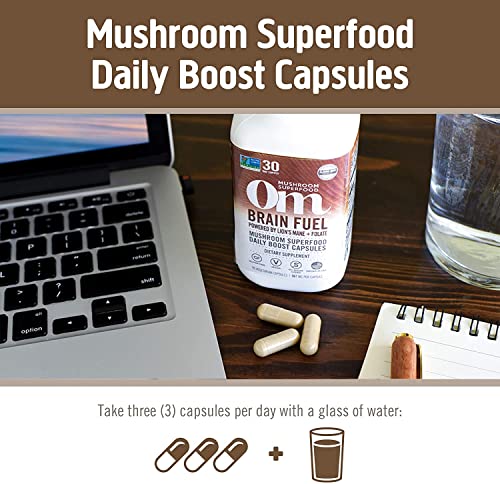 Reishi mushrooms for relaxation benefits