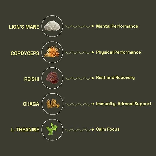 Reishi mushrooms for relaxation