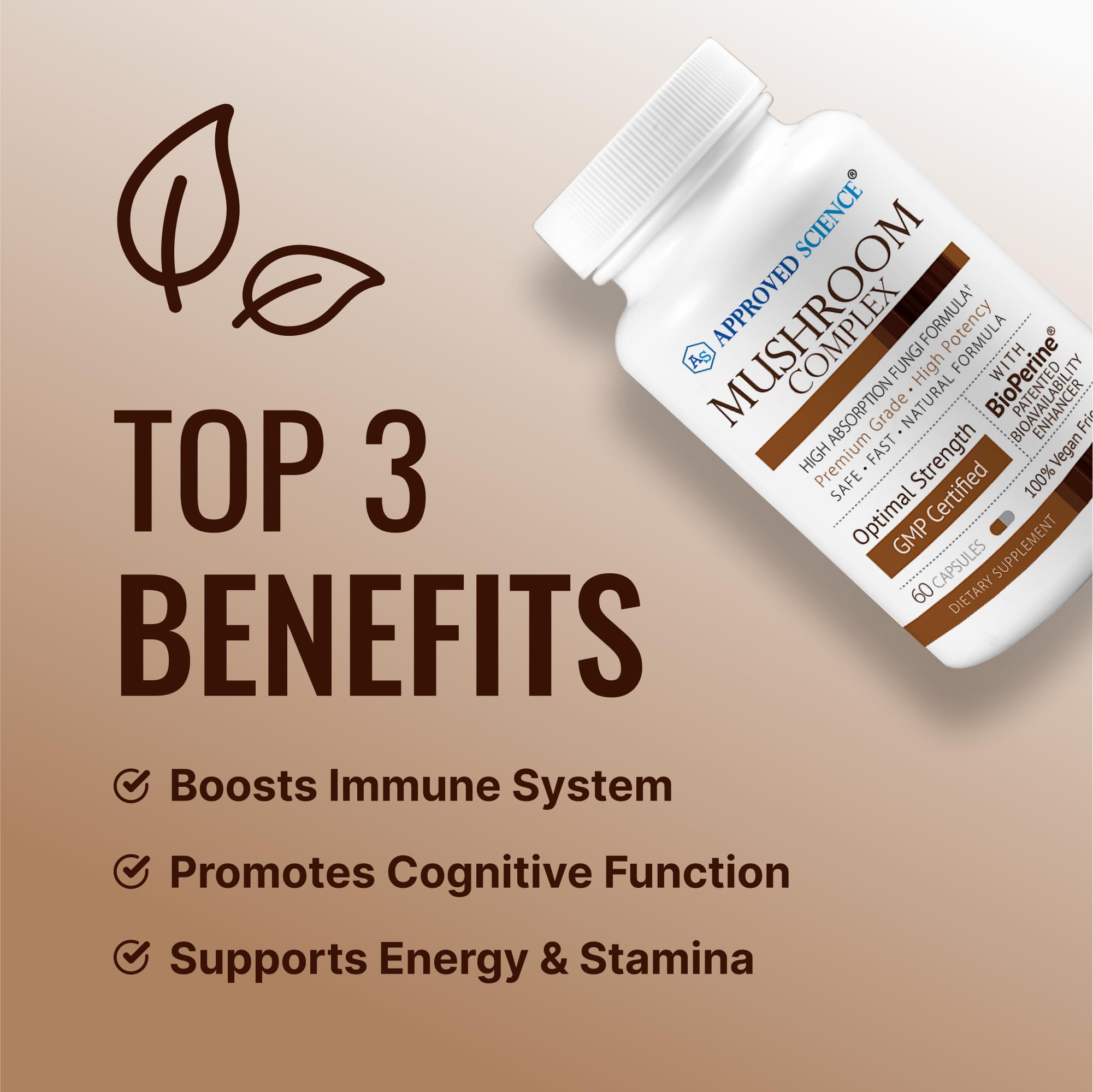 Reishi mushrooms for relaxation