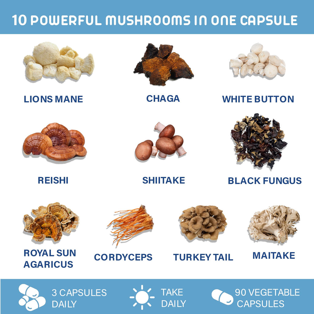 Reishi mushrooms for relaxation