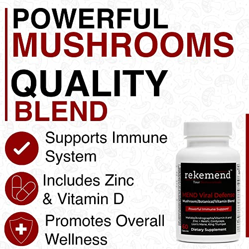 Reishi mushrooms for stress relief