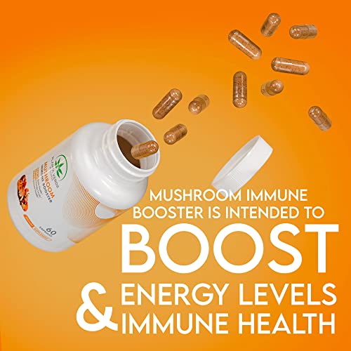 Reishi mushrooms for stress relief