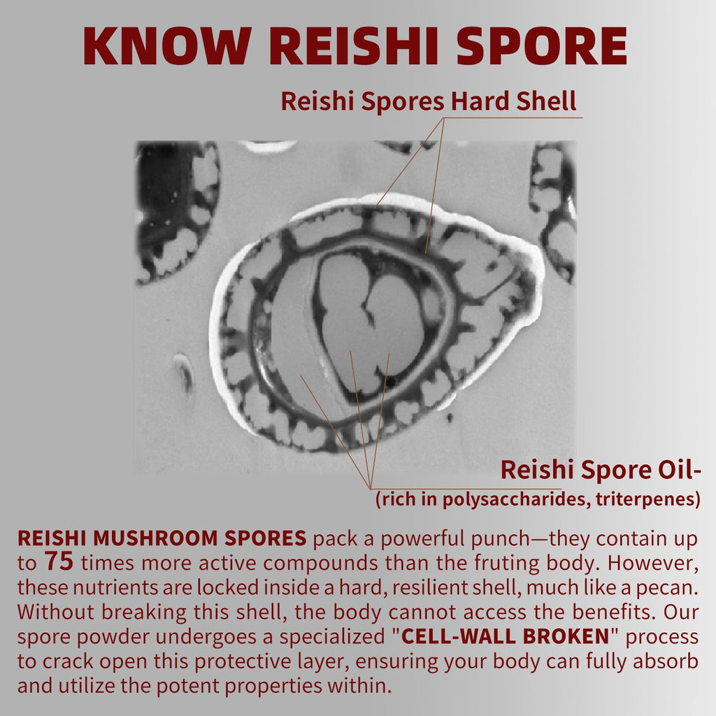 reishi mushrooms for stress relief