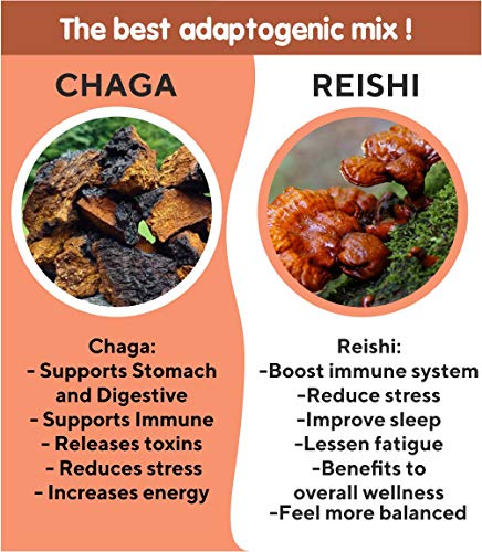 reishi mushrooms for stress relief