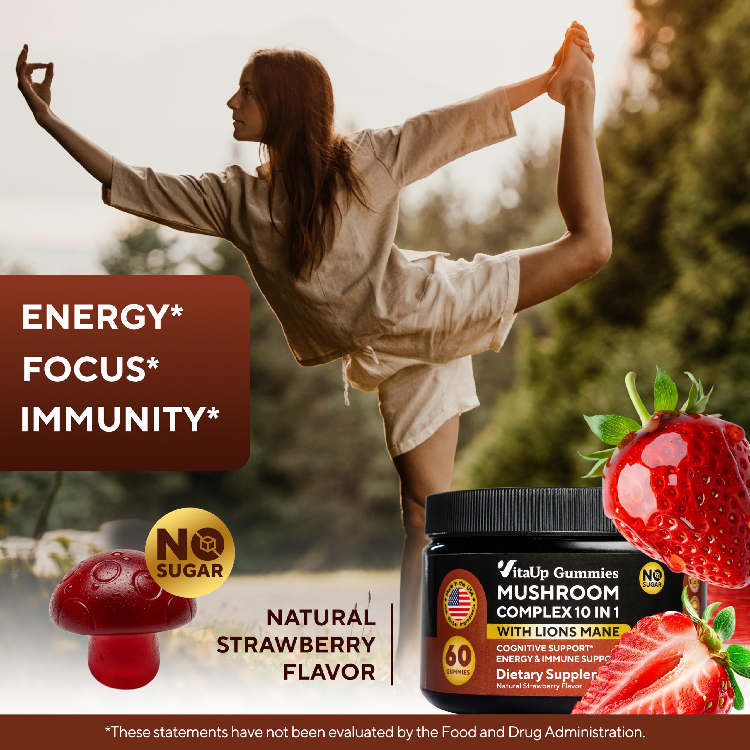 Reishi mushrooms for stress relief