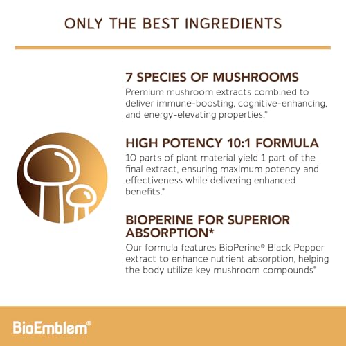 Reishi mushrooms for stress relief