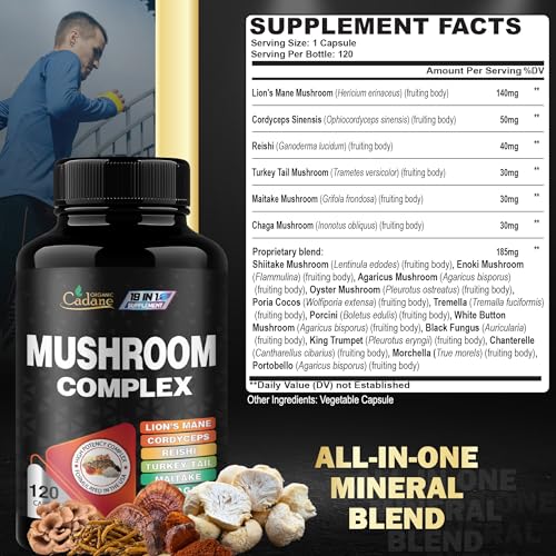 reishi mushrooms for stress relief