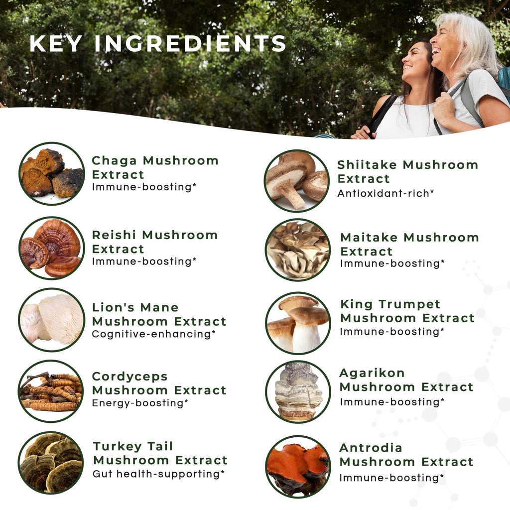 Reishi mushrooms for stress relief