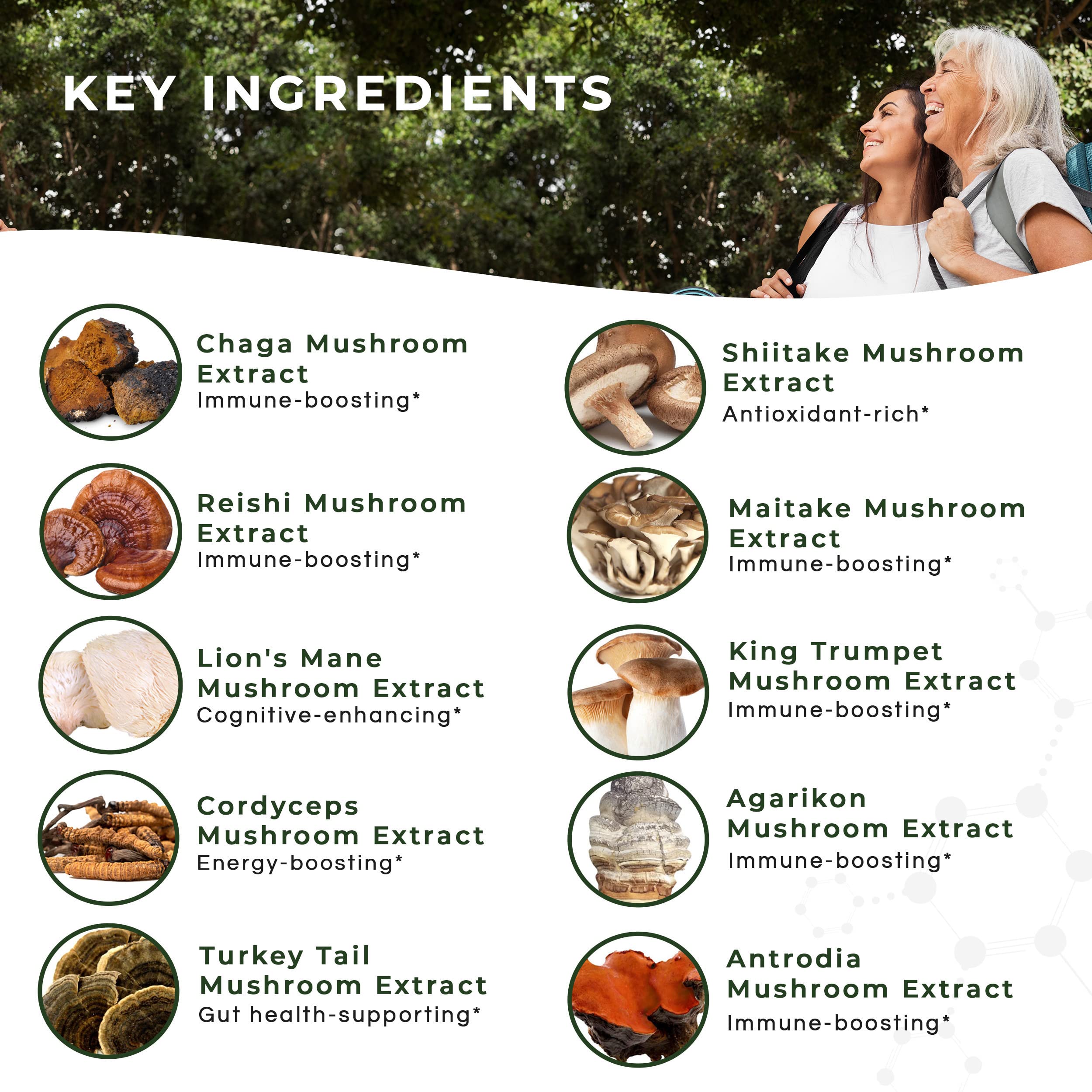 Reishi mushrooms for stress relief