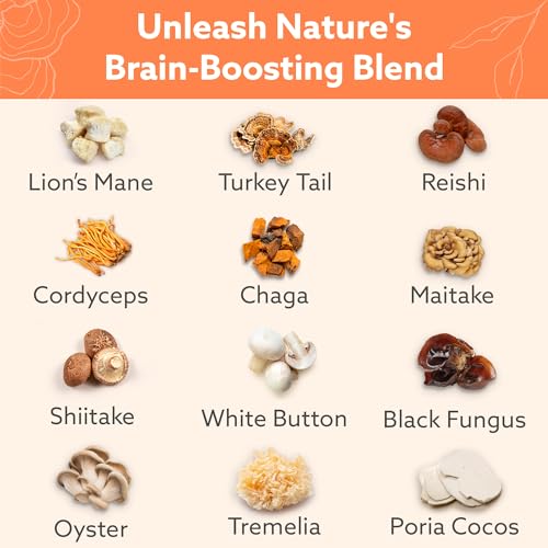 Reishi mushrooms for stress relief