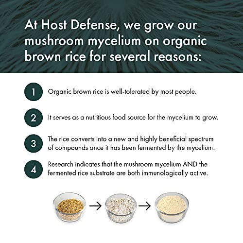 Reishi mushrooms for stress relief