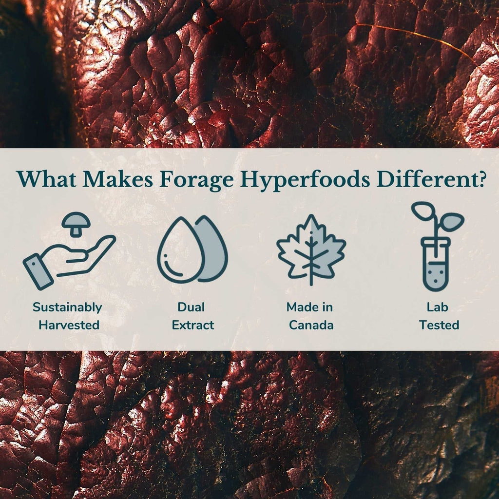reishi mushrooms for stress relief