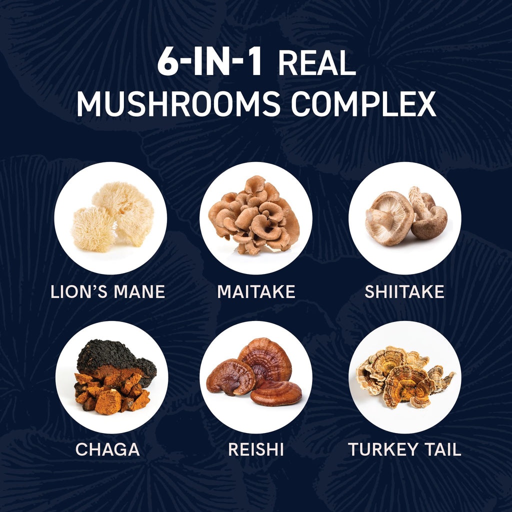 Reishi mushrooms for stress relief