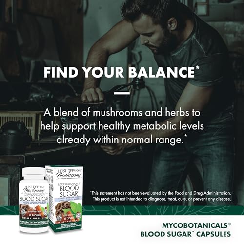 Reishi mushrooms for stress relief