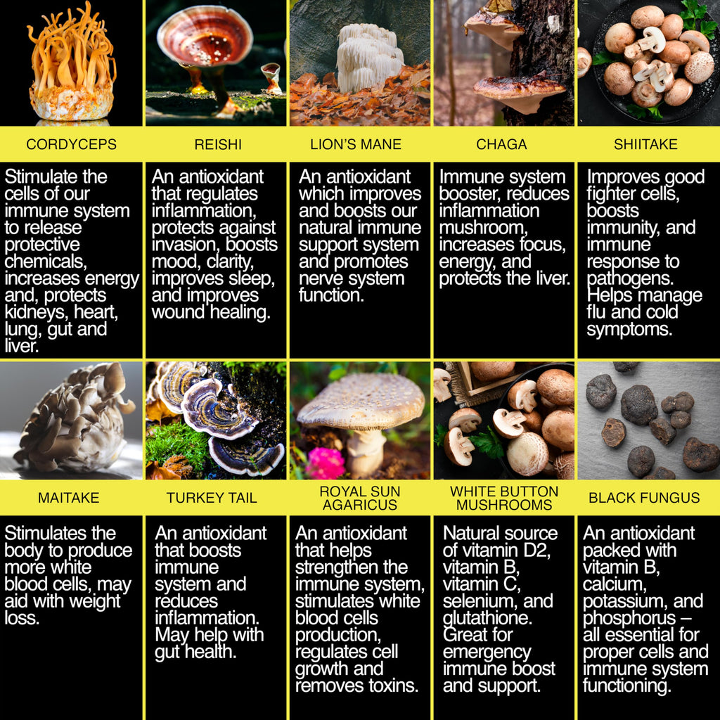 Reishi mushrooms for stress relief