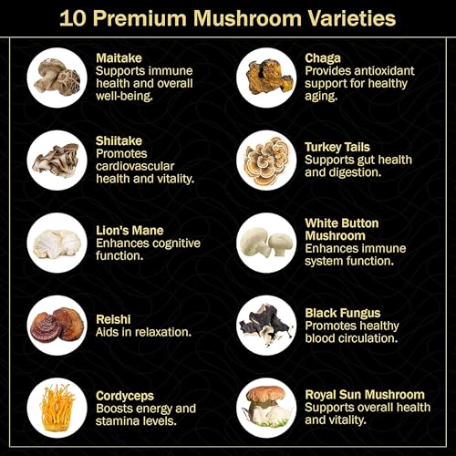 Reishi mushrooms for stress relief