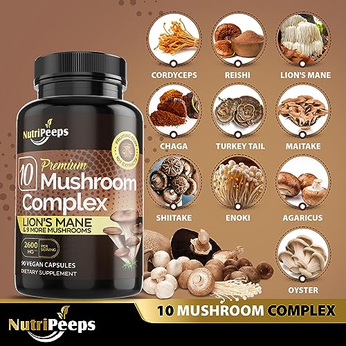 reishi mushrooms for stress relief