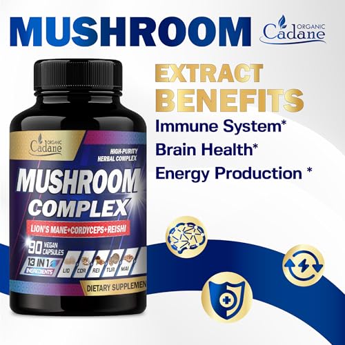 Reishi mushrooms for stress relief