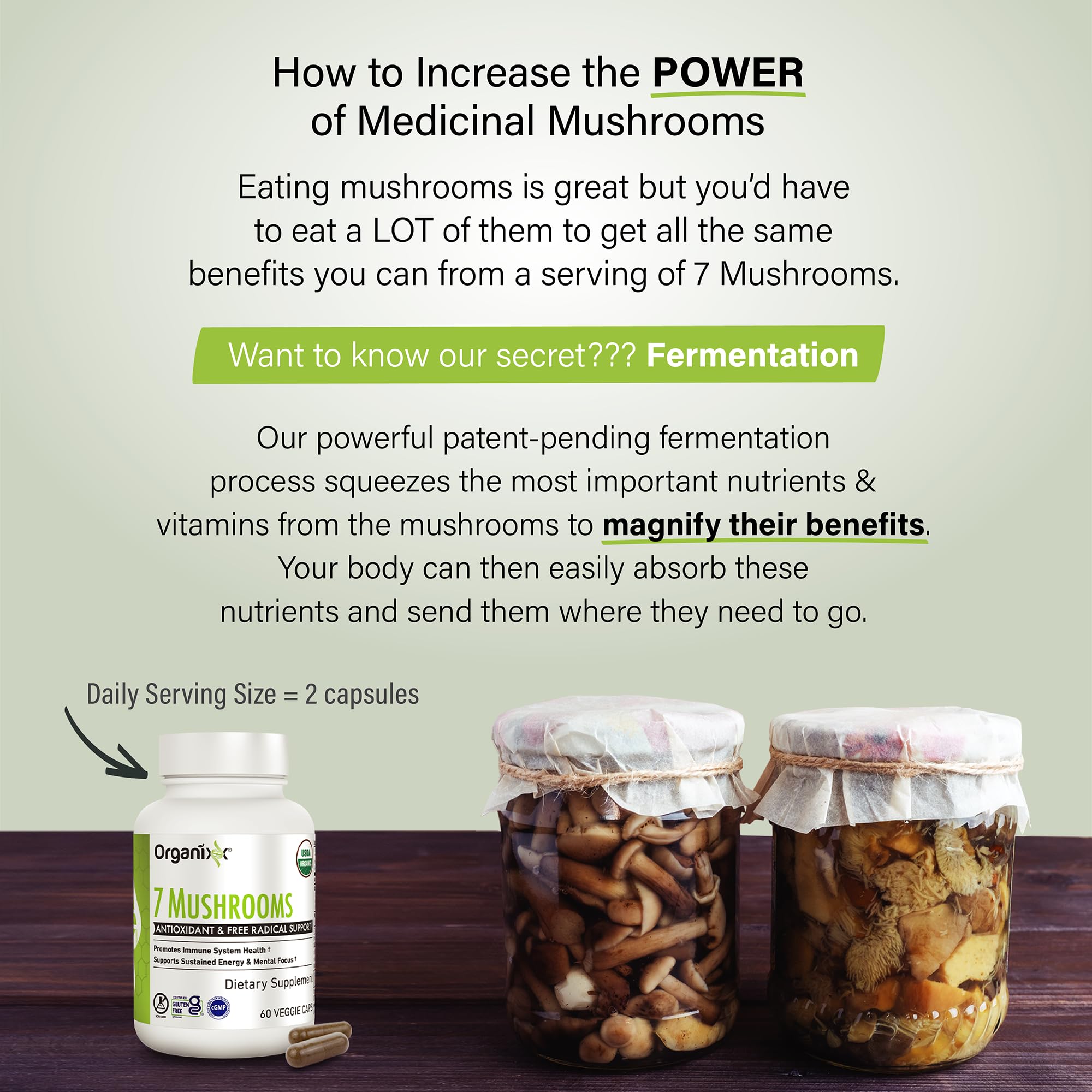 Reishi mushrooms for stress relief