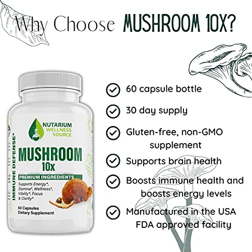 Reishi mushrooms for stress relief