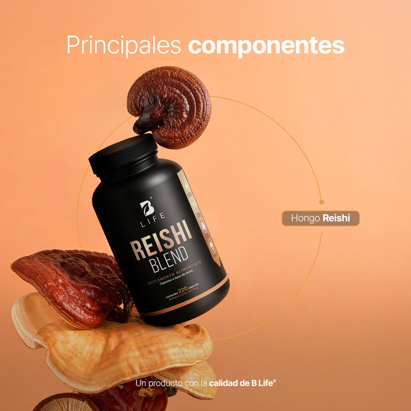 reishi mushrooms for stress relief